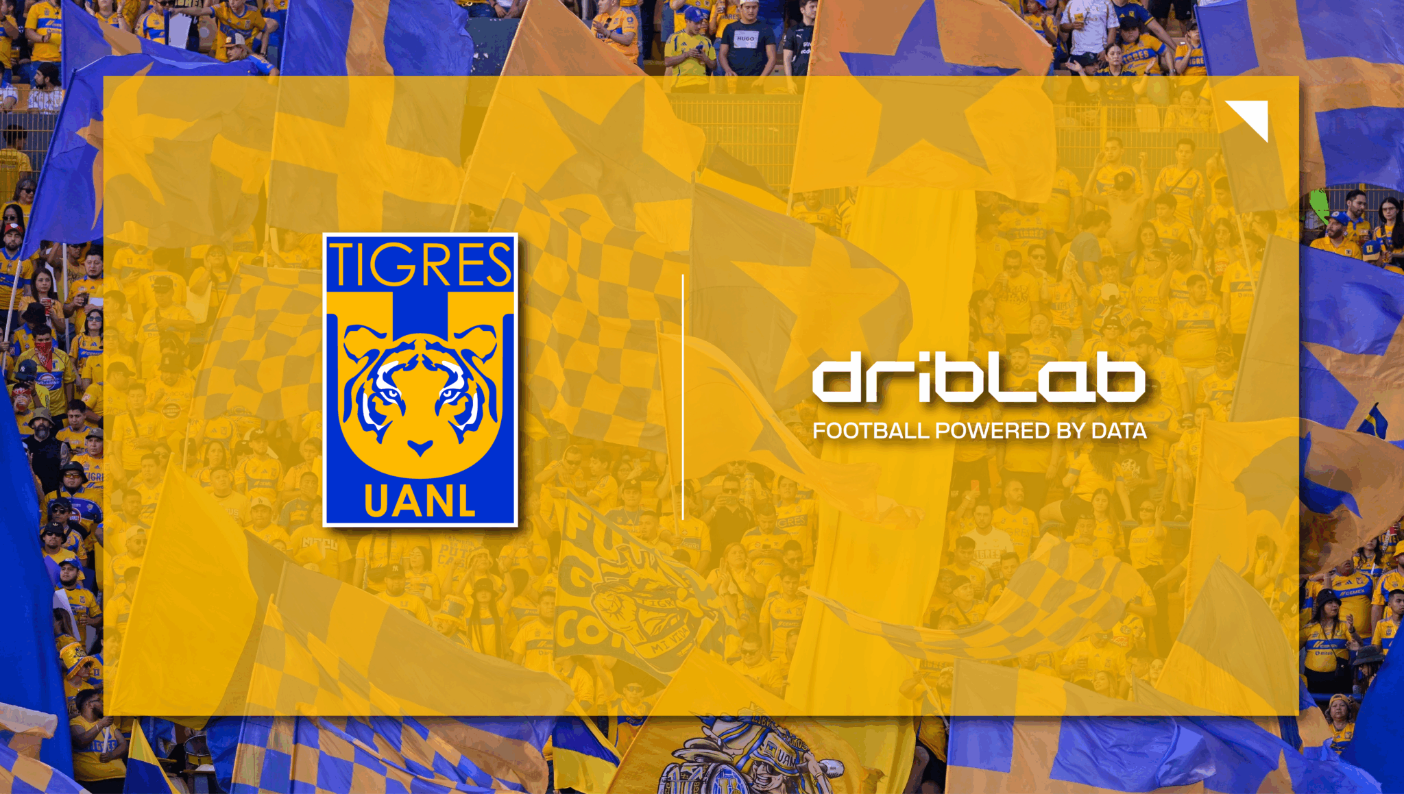 “Somos de la U”: Tigres presenta su nueva piel 25-26, un símbolo de ...